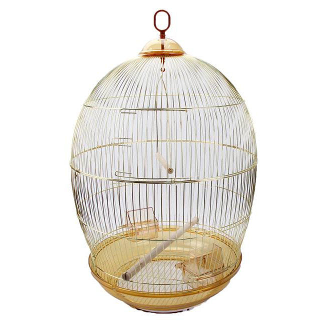 CA-99 (33X33X70cm) - Sai Birds Chennai