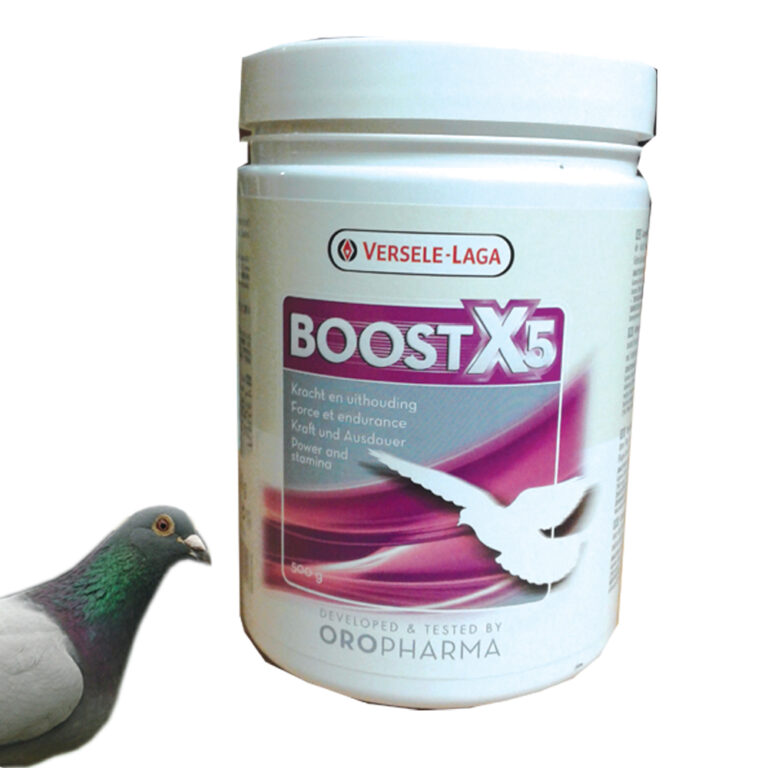 Ostovet Forte Calcium & Vitamin Liquid (500ml) for Birds - Sai Birds ...