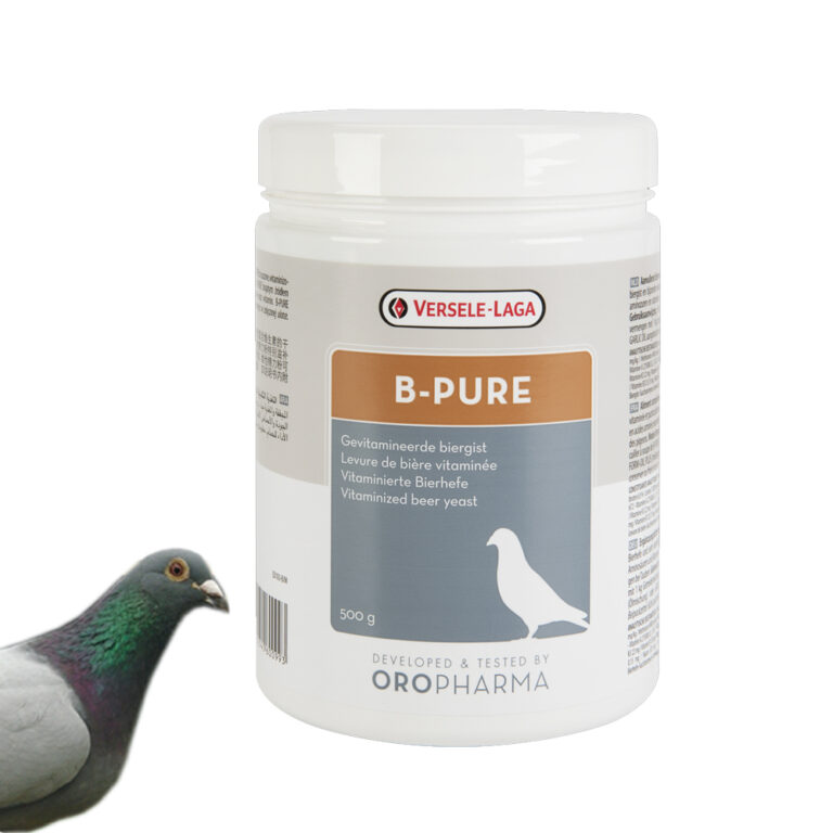 Ostovet Forte Calcium & Vitamin Liquid (500ml) for Birds - Sai Birds ...