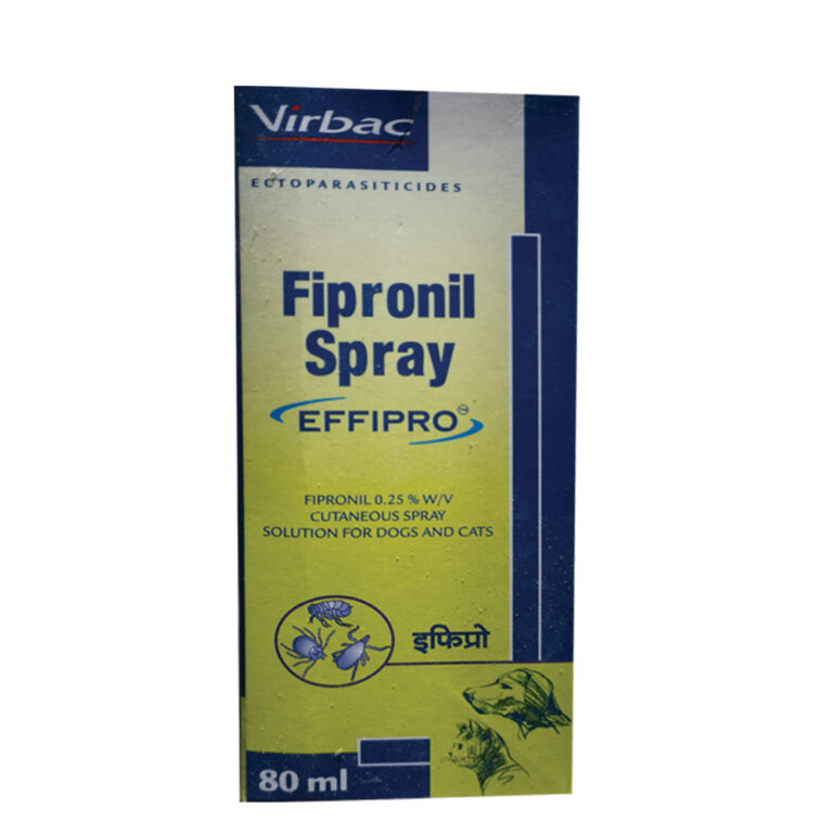 Home shop 4 - Sai Birds Chennai