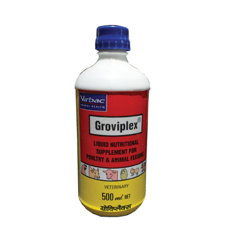 Home shop 4 - Sai Birds Chennai