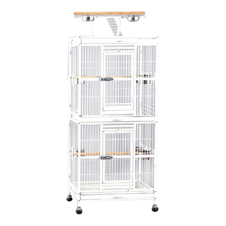 CA 101 - Sai Birds Chennai